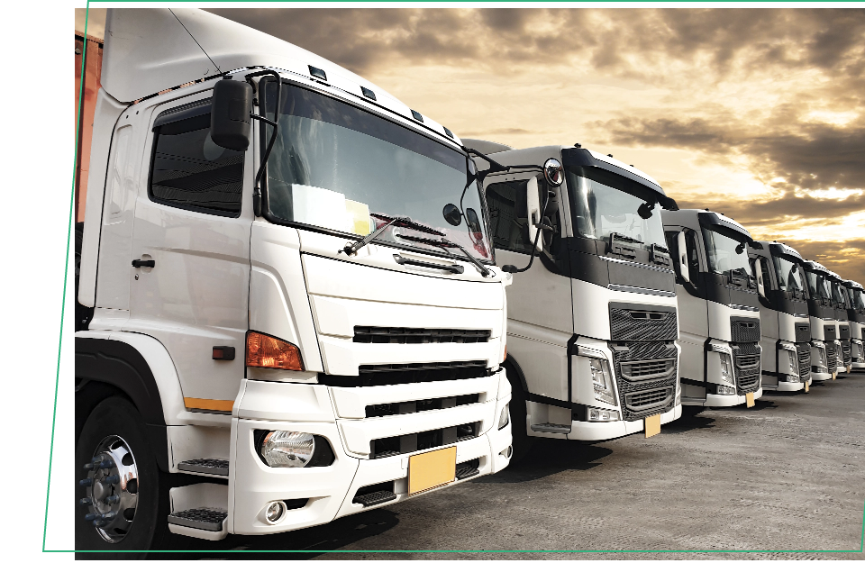 Tiriva Transportes - Com mais de 20 anos de transportes rodoviários!